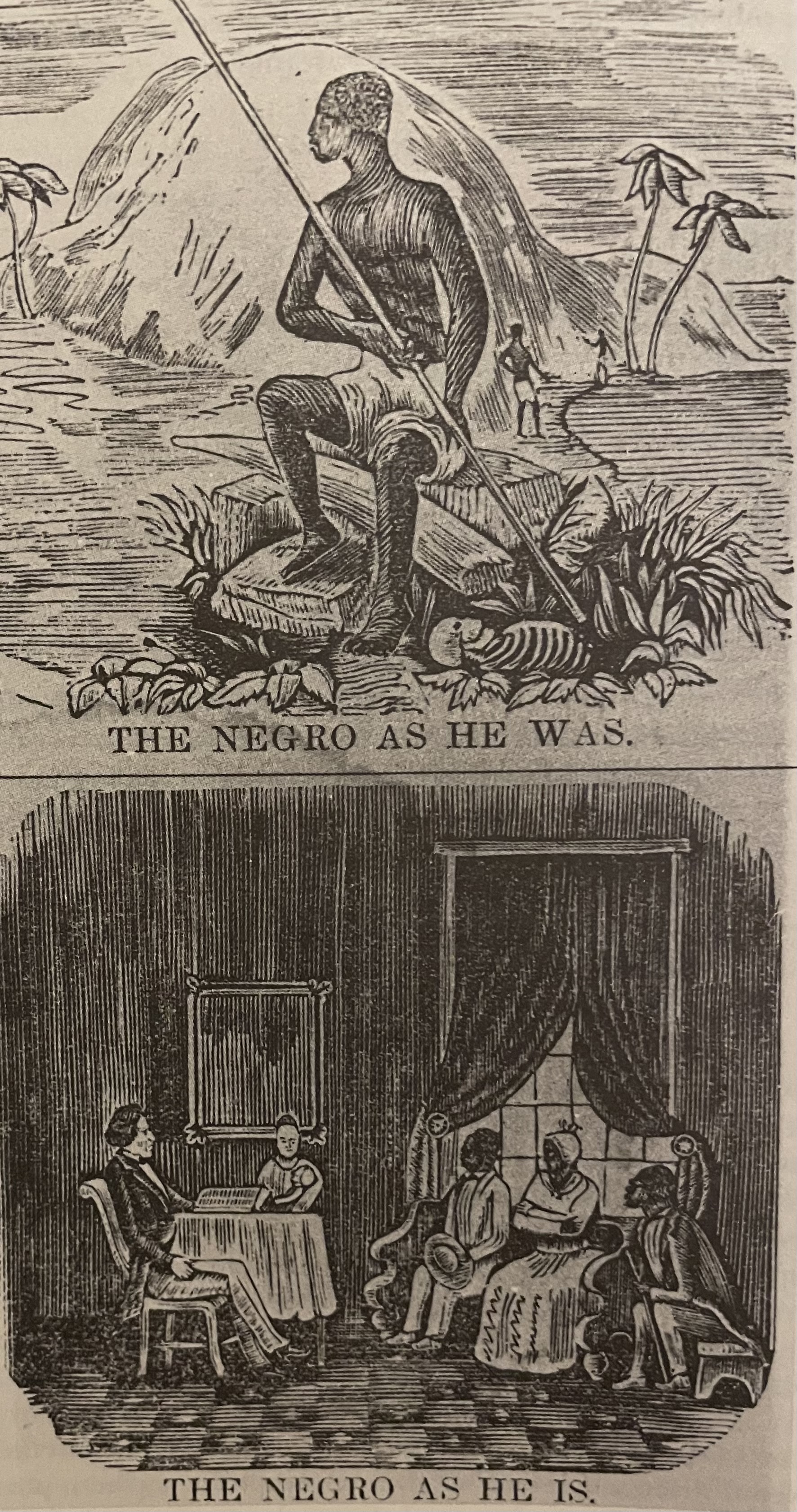 Radical Mainers – The Bollard